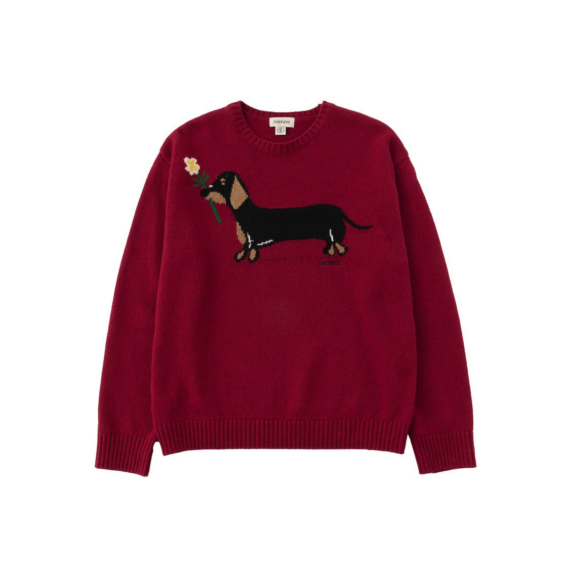 시엔느 캐시미어 닥스훈트 니트 버건디 | SIENNE | KREAM