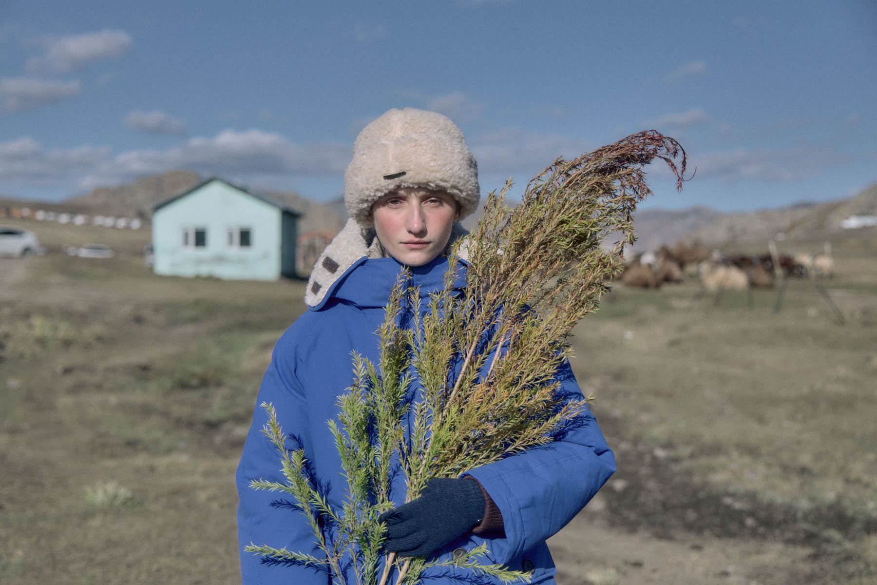 시엔느 24 Winter 발매 | KREAM