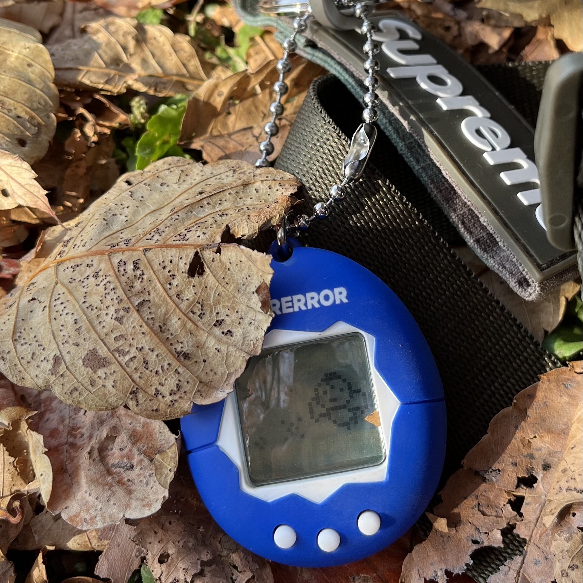 잘가.. 다마에러야.. | KREAM