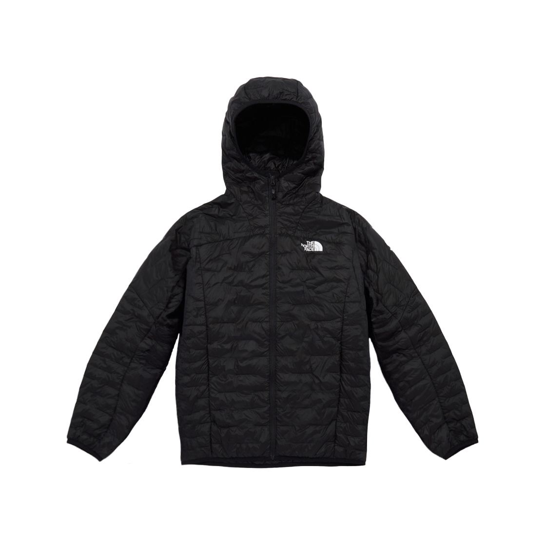 The North Face Summit... STYLE | KREAM