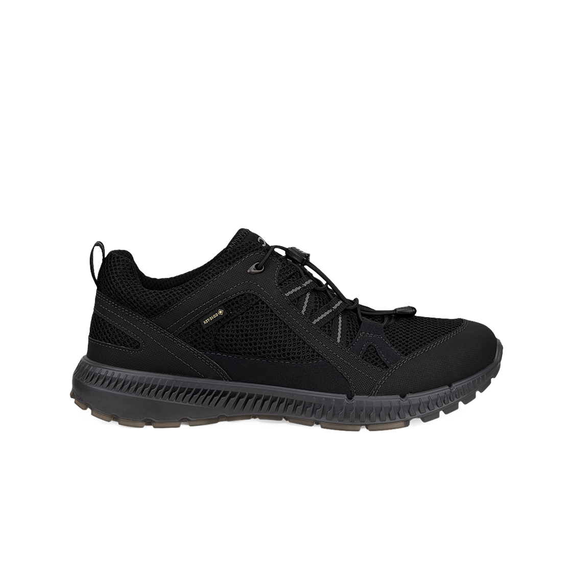 에코 테라크루 2 Gtx 슈즈 블랙 | Ecco | KREAM