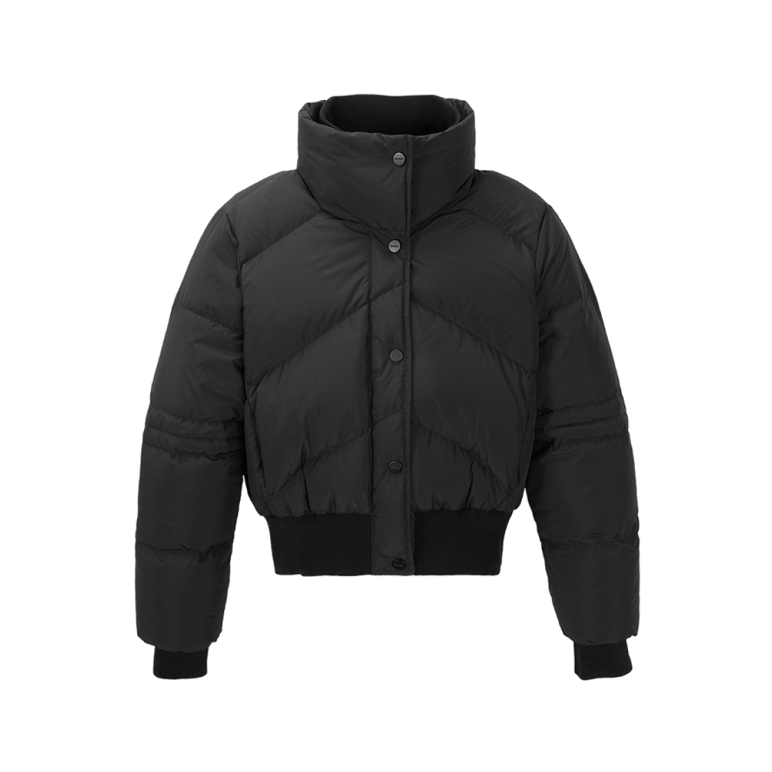 (W) 게스 봄버 다운 블랙 | GUESS | KREAM