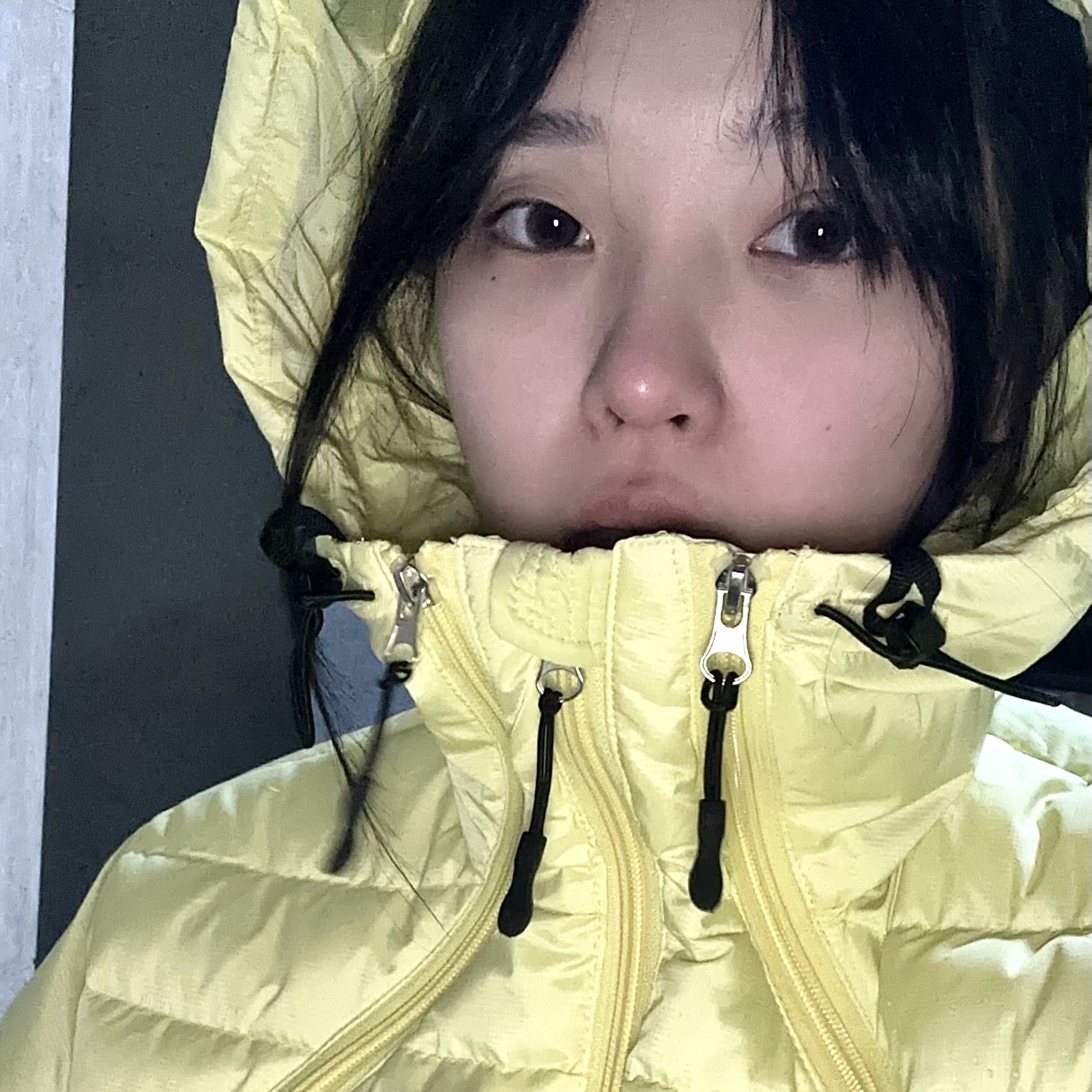 채린 (@oxnoxn) 님의 게시물 | KREAM