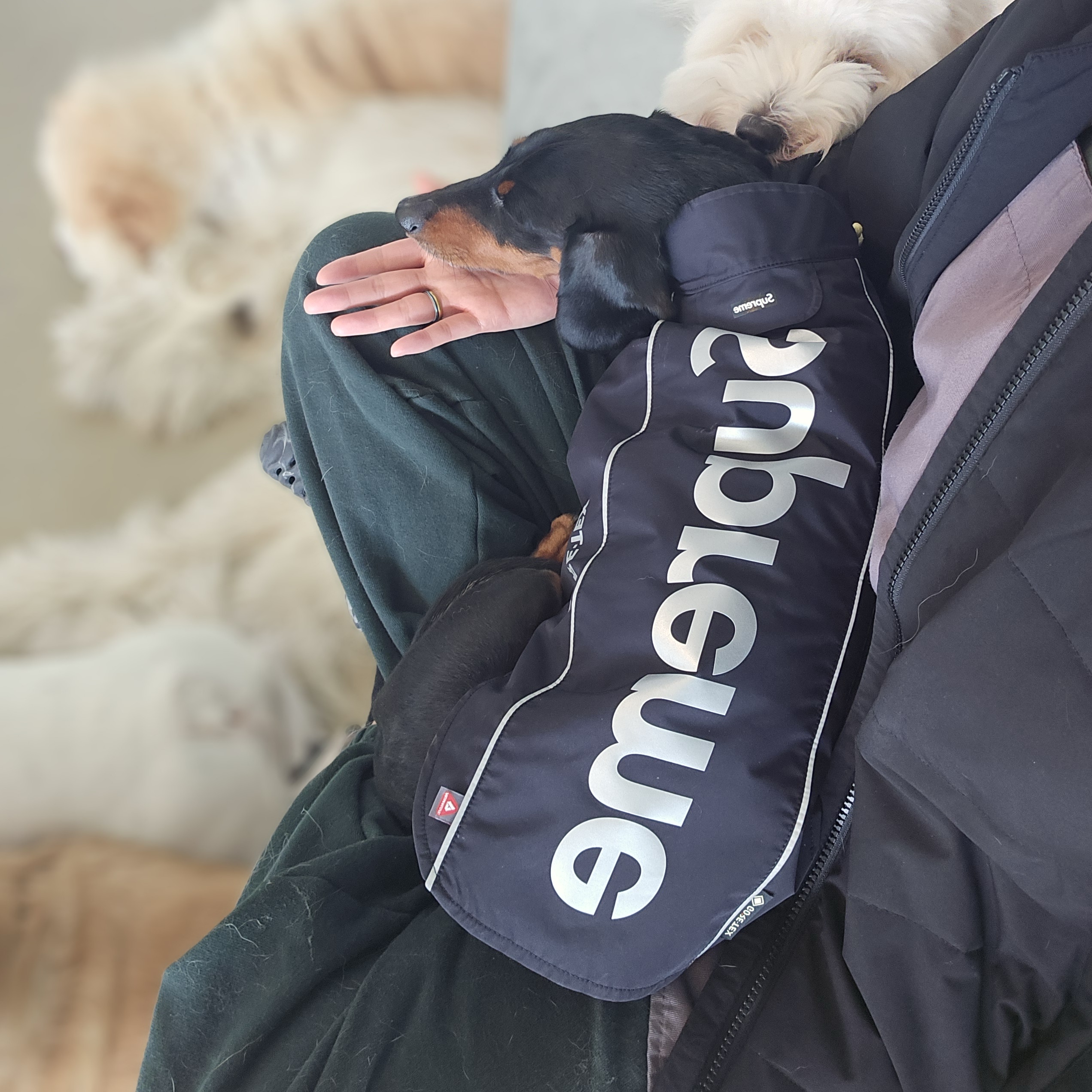 반짝반짝 | KREAM