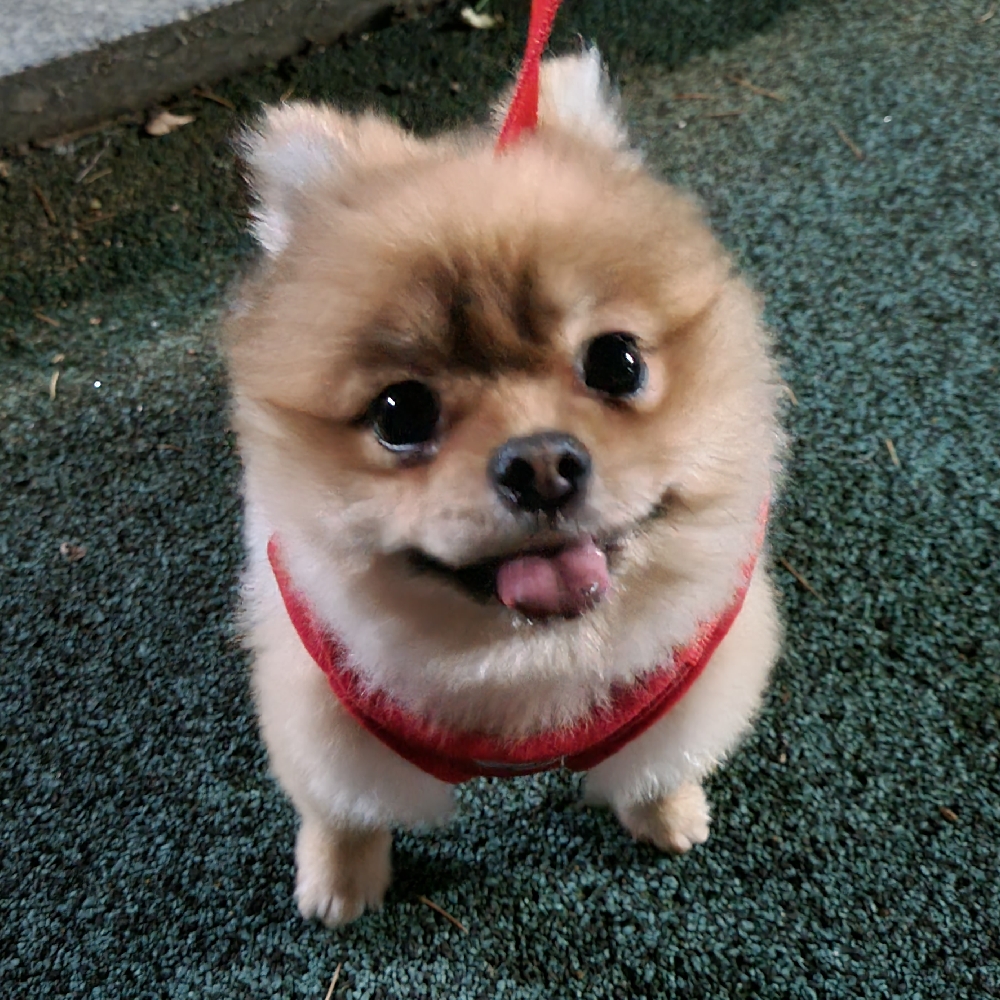 김태선 (@ktseon) 님의 게시물 | KREAM