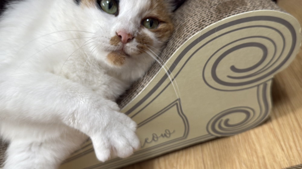 서울쥐 (@lily_j) 님의 게시물 | KREAM