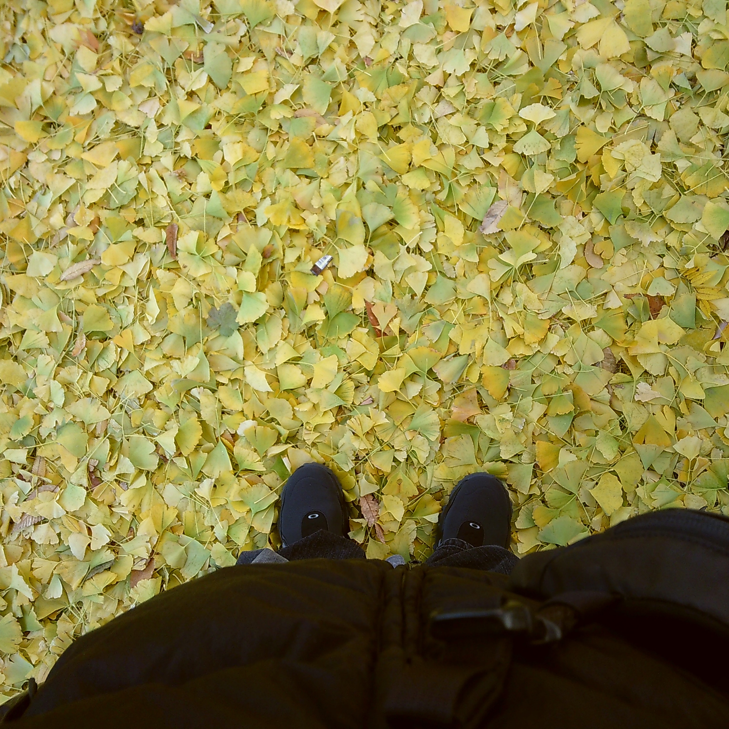 huhu (@ho._.ho) 님의 게시물 | KREAM