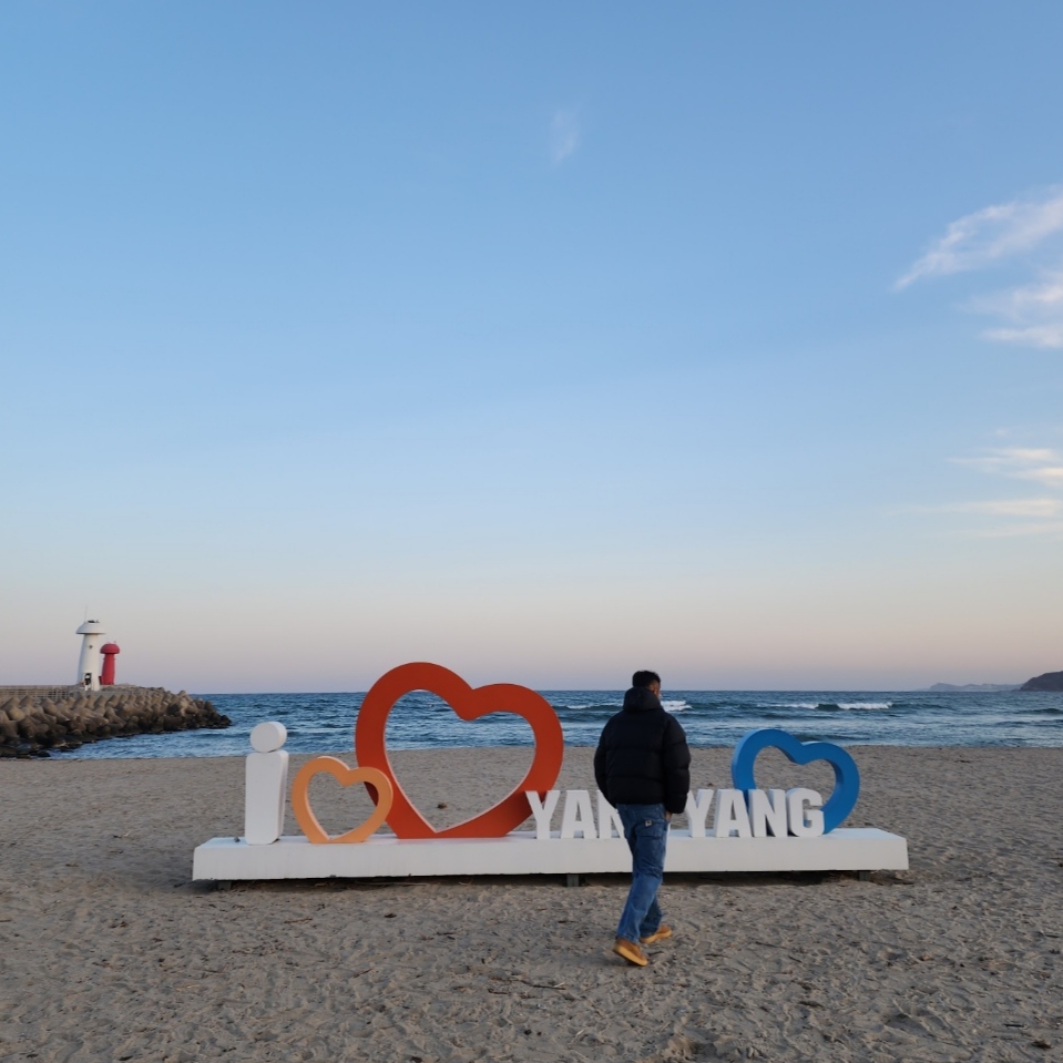 176/68 L 세미오버핏 | KREAM