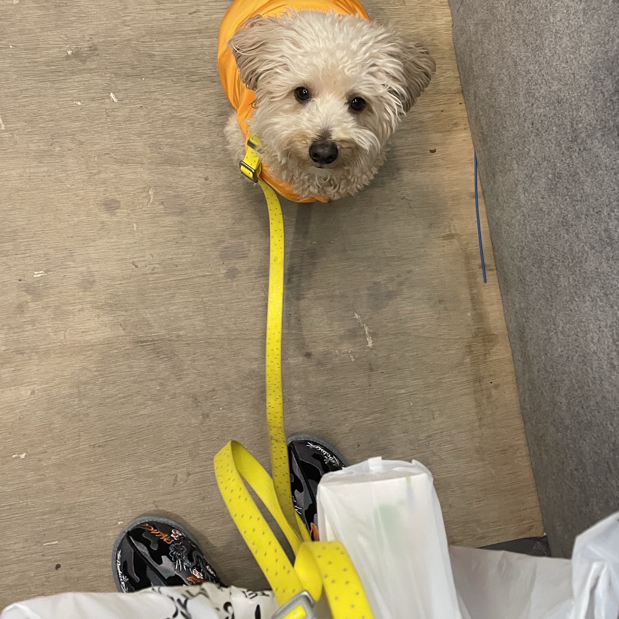 (@bambo413) 님의 게시물 | KREAM