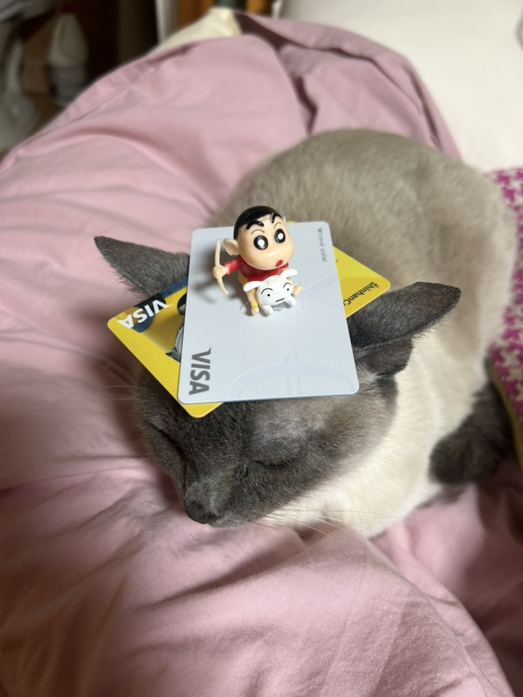 워니 (@to_won_to) 님의 게시물 | KREAM