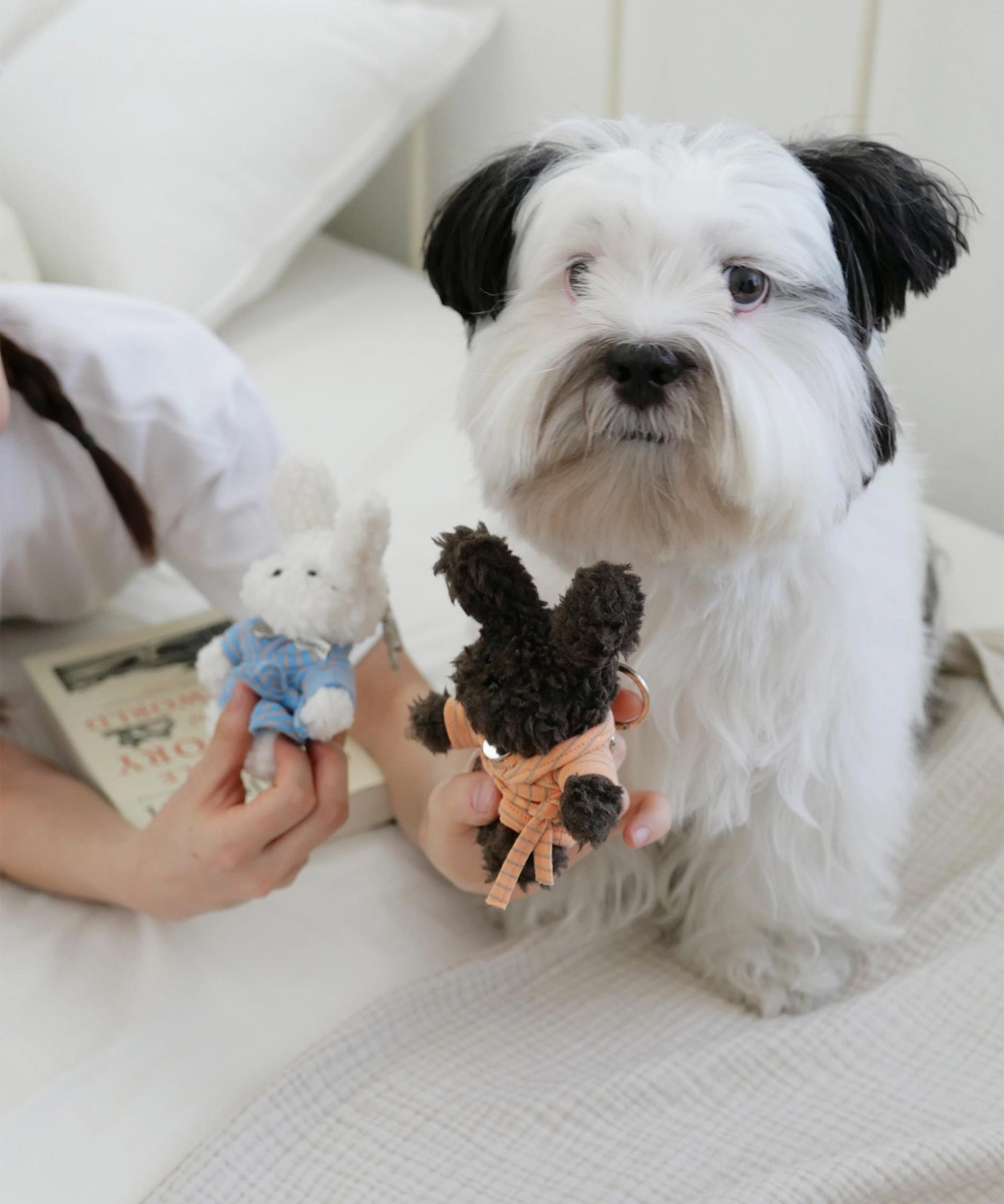 코지모지 푸들 키링 샤워 가운 블루 | Cosymosy | KREAM