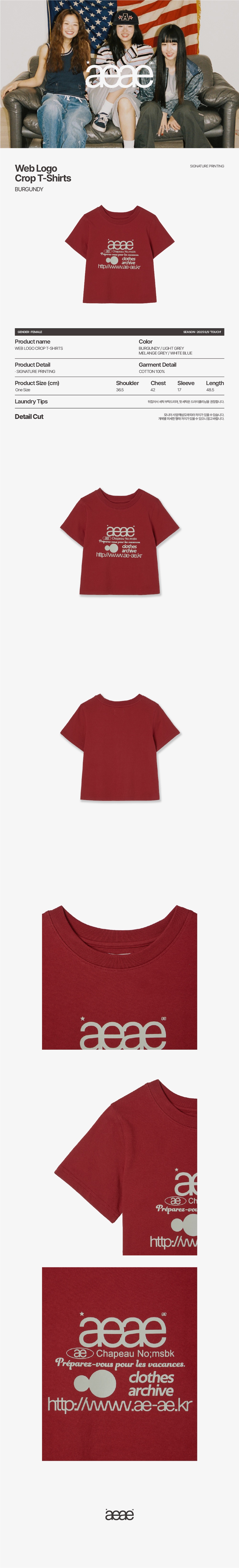 에이이에이이 웹 로고 크롭 티셔츠 버건디 | AEAE | KREAM