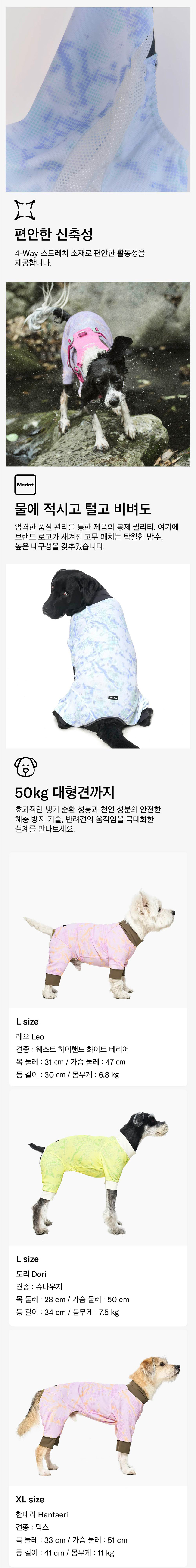 멀로 쿠어 수트 블루 XL | Merlot | KREAM