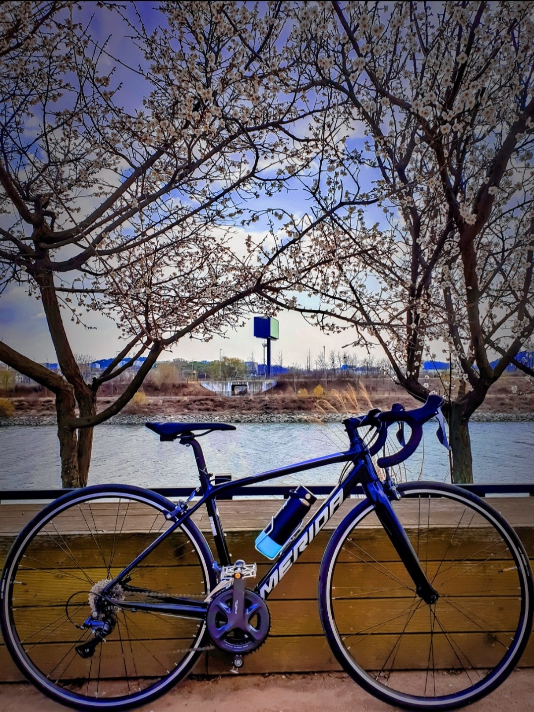 🌸_ 🚴‍♂️🚴‍♂️ | KREAM