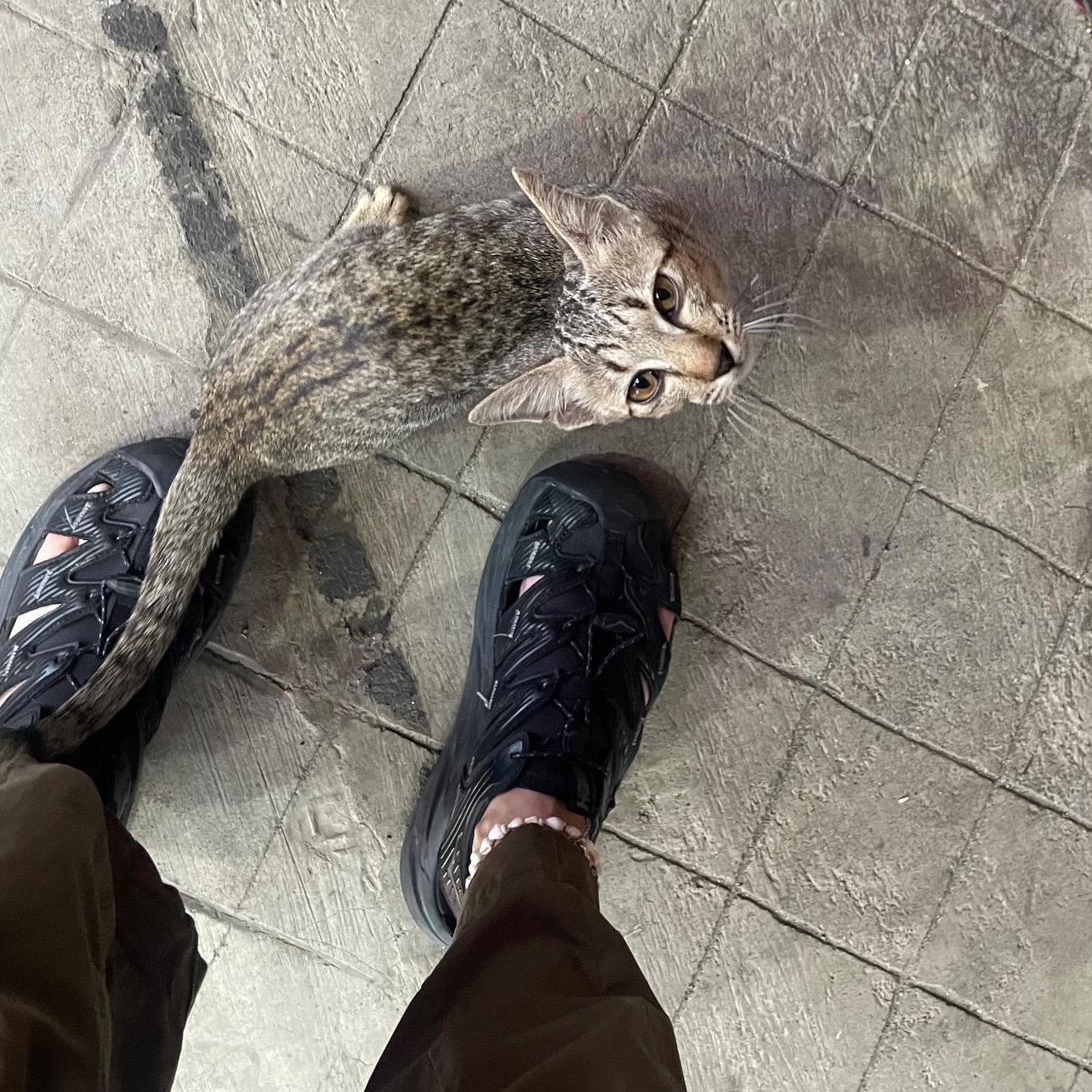 lisalis (@lkgg1o) 님의 게시물 | KREAM