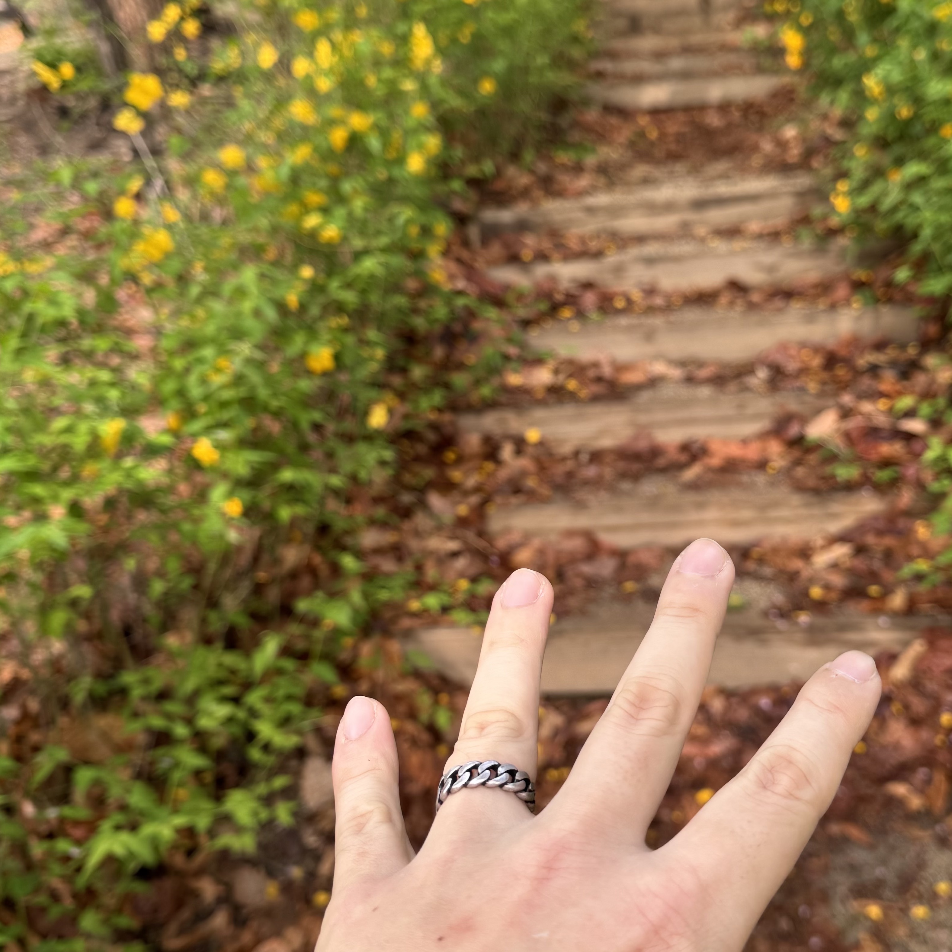 쿼르코어 | KREAM