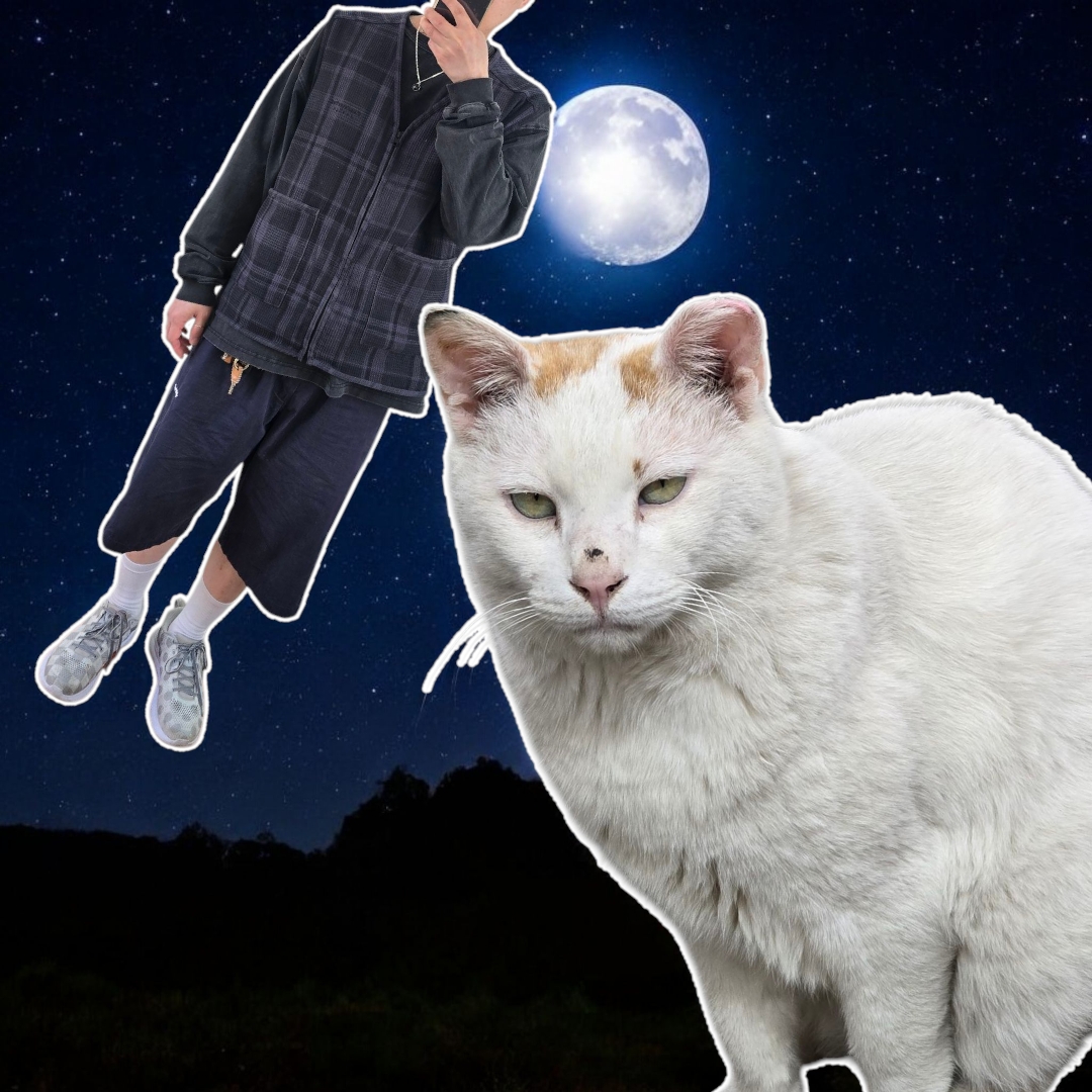 jnjnjn (@jnjnjn) 님의 게시물 | KREAM