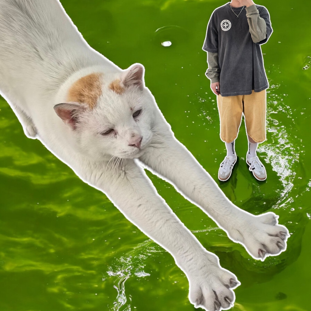 jnjnjn (@jnjnjn) 님의 게시물 | KREAM