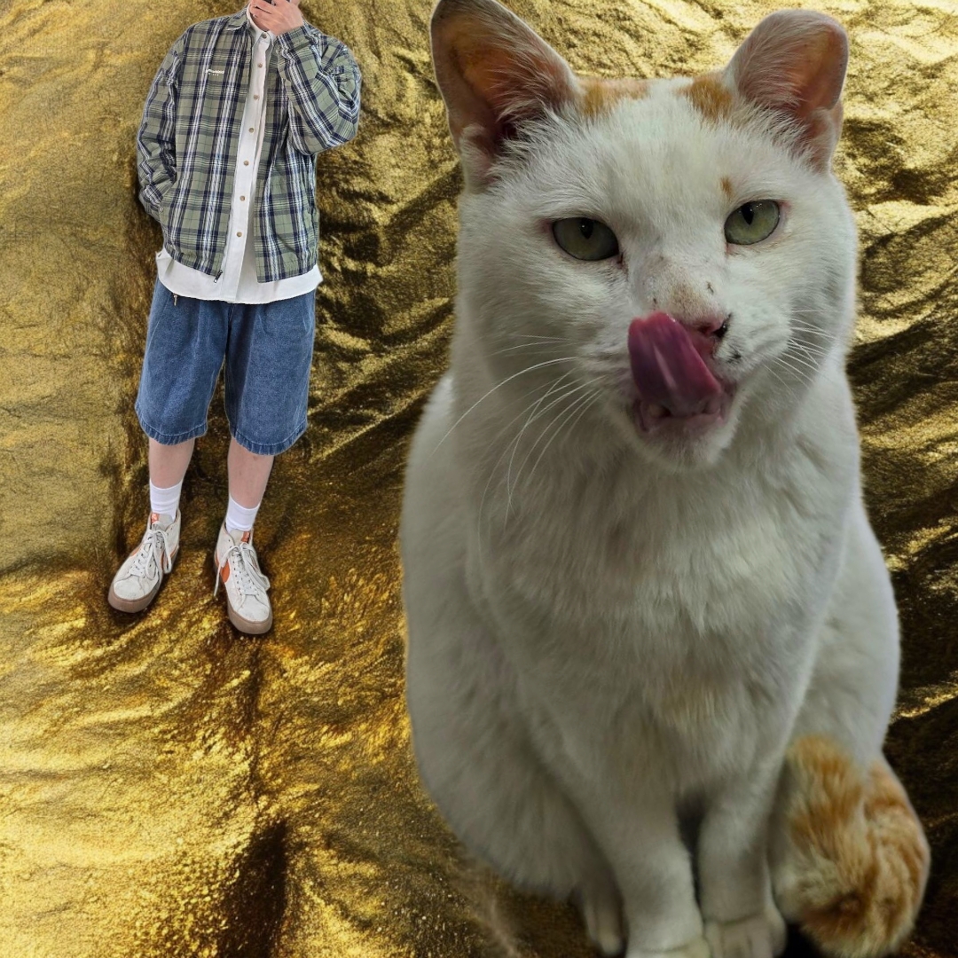 jnjnjn (@jnjnjn) 님의 게시물 | KREAM