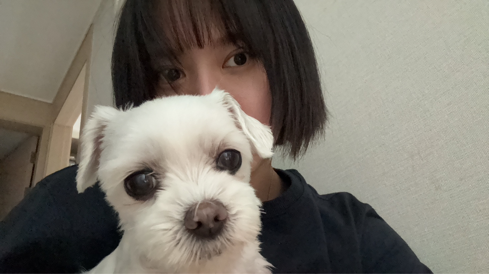 (@yando__o) 님의 게시물 | KREAM