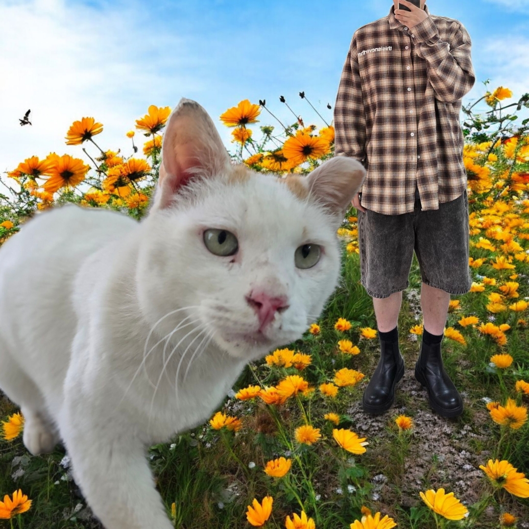 jnjnjn (@jnjnjn) 님의 게시물 | KREAM