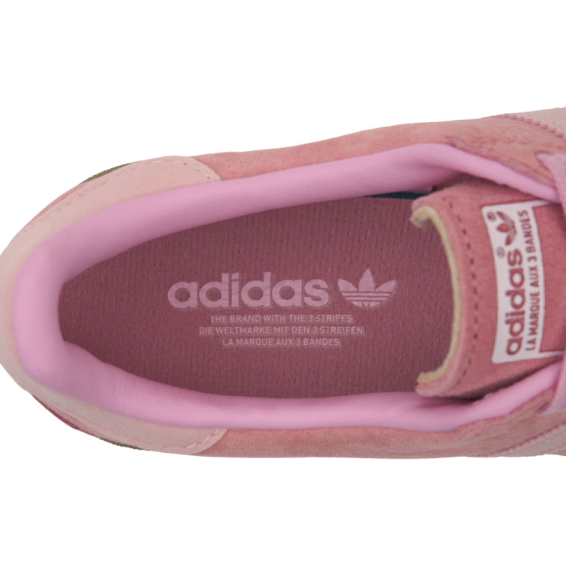 아디다스 버뮤다 글로우 핑크 | Adidas | KREAM