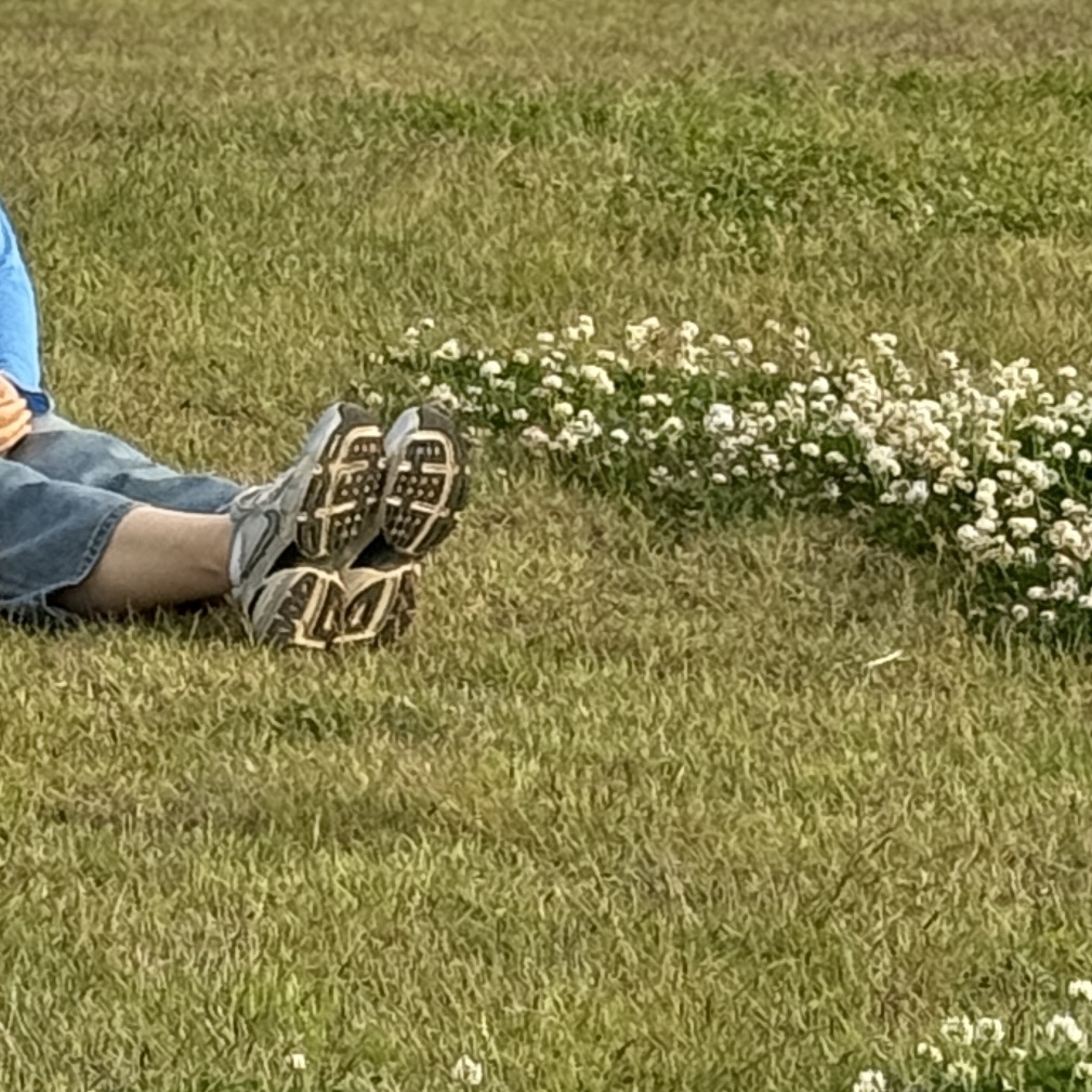 비갠뒤에비애 (@wigmadl) 님의 게시물 | KREAM