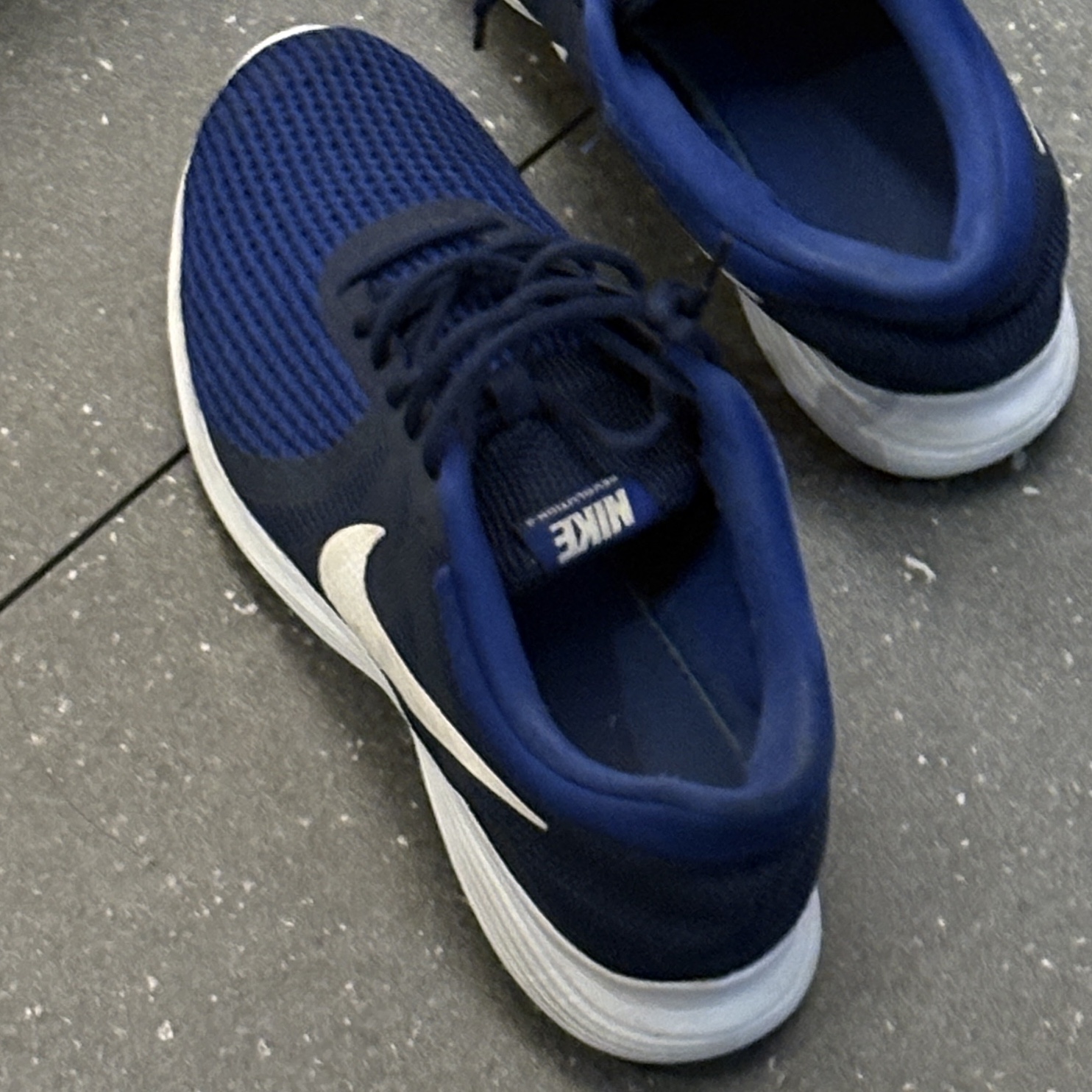 곤도이 (@gondoy) 님의 게시물 | KREAM