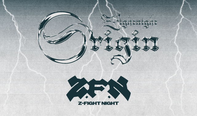 [ZFN ORIGIN 02] 지정 좌석 S구역 | ZFN | KREAM