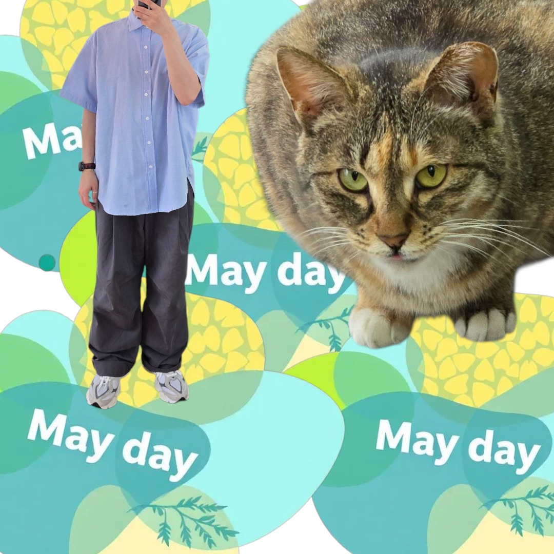 jnjnjn (@jnjnjn) 님의 게시물 | KREAM