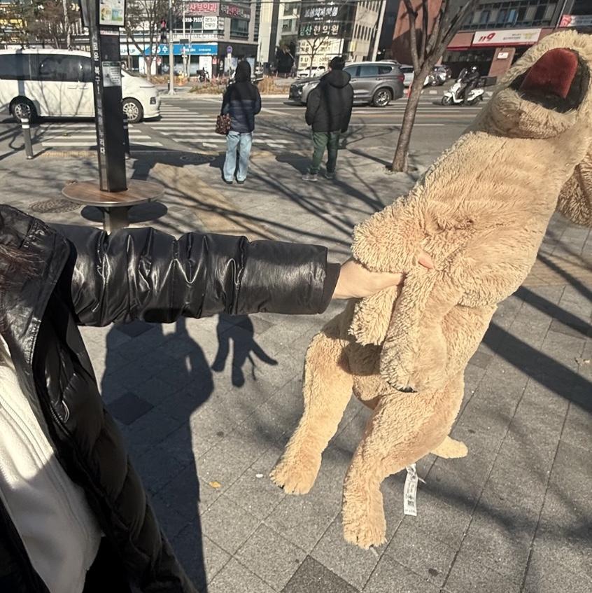 돕빠입꼬 이케아산 리틀버랑 한바퀴 | KREAM