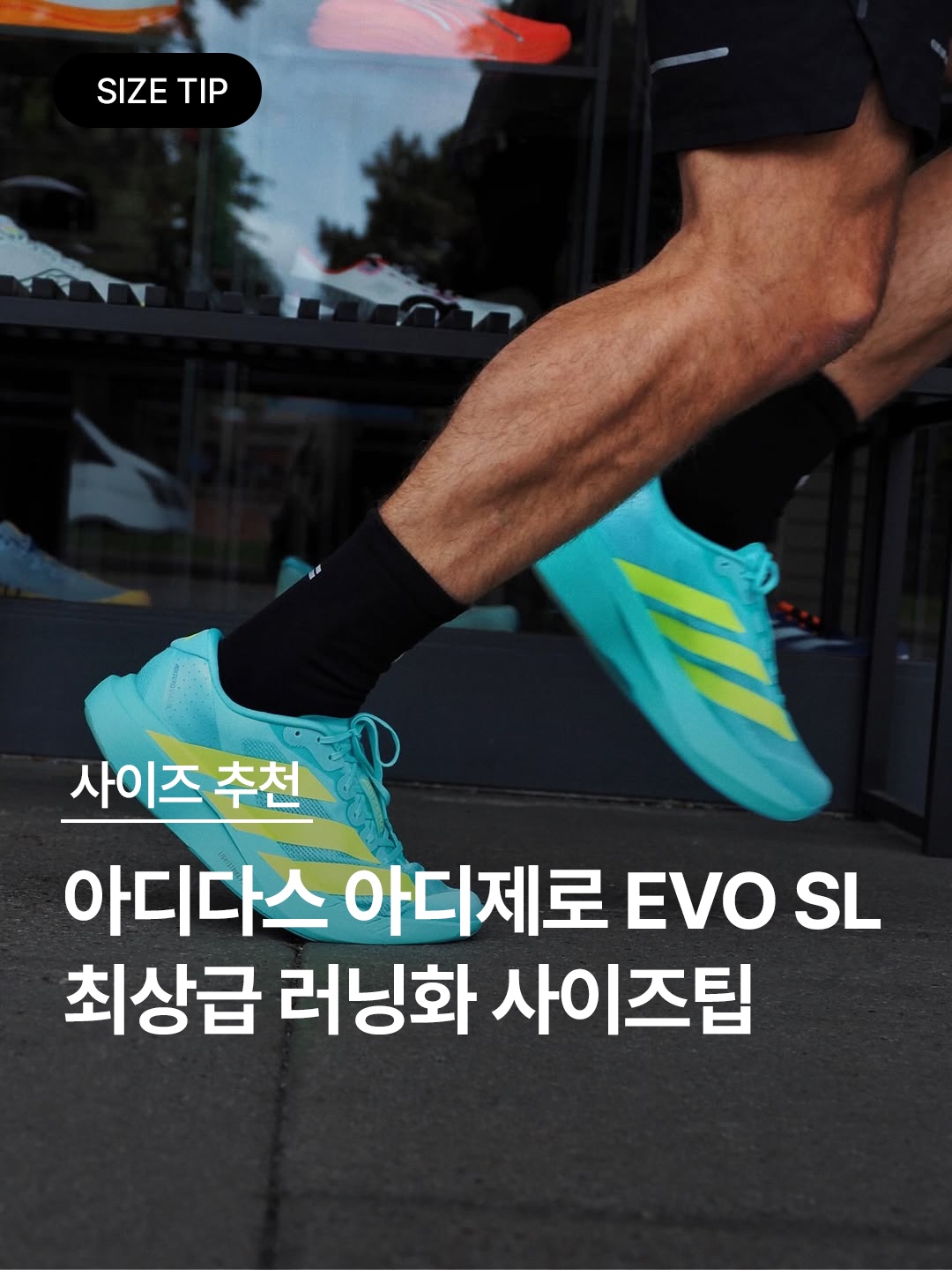 아디제로 EVO SL 사이즈팁🤔 | KREAM