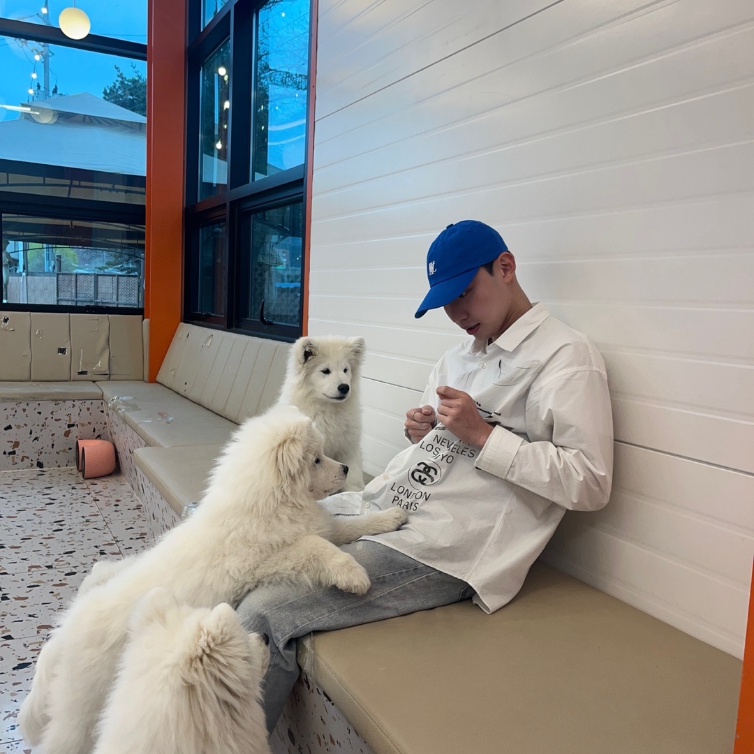 #사모예드 해시태그 STYLE | KREAM