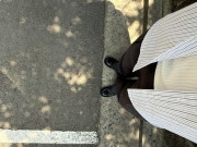 Alex Zono I Dig Runni... STYLE | KREAM