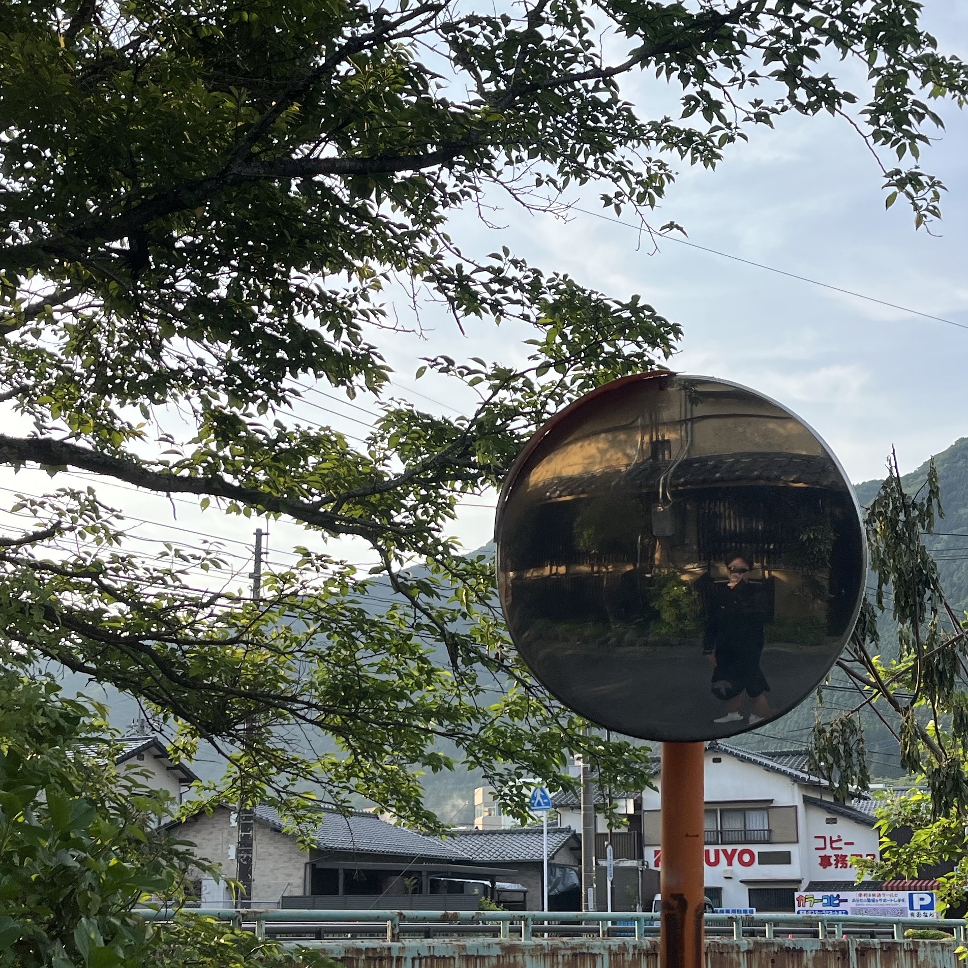 (@ya_ni) 님의 게시물 | KREAM