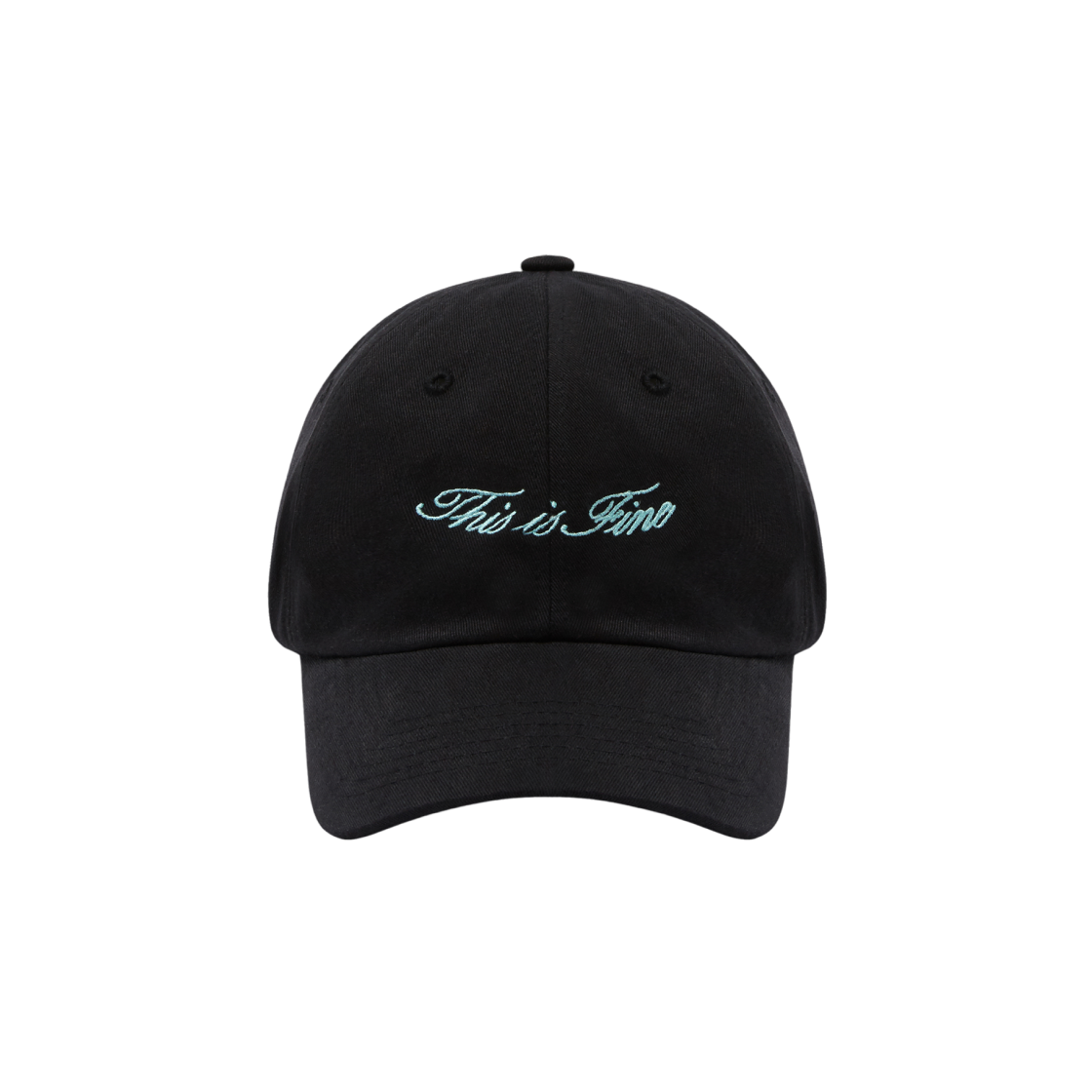 디스이즈파인 에브리데이 캡 블랙 | THIS IS FINE | KREAM