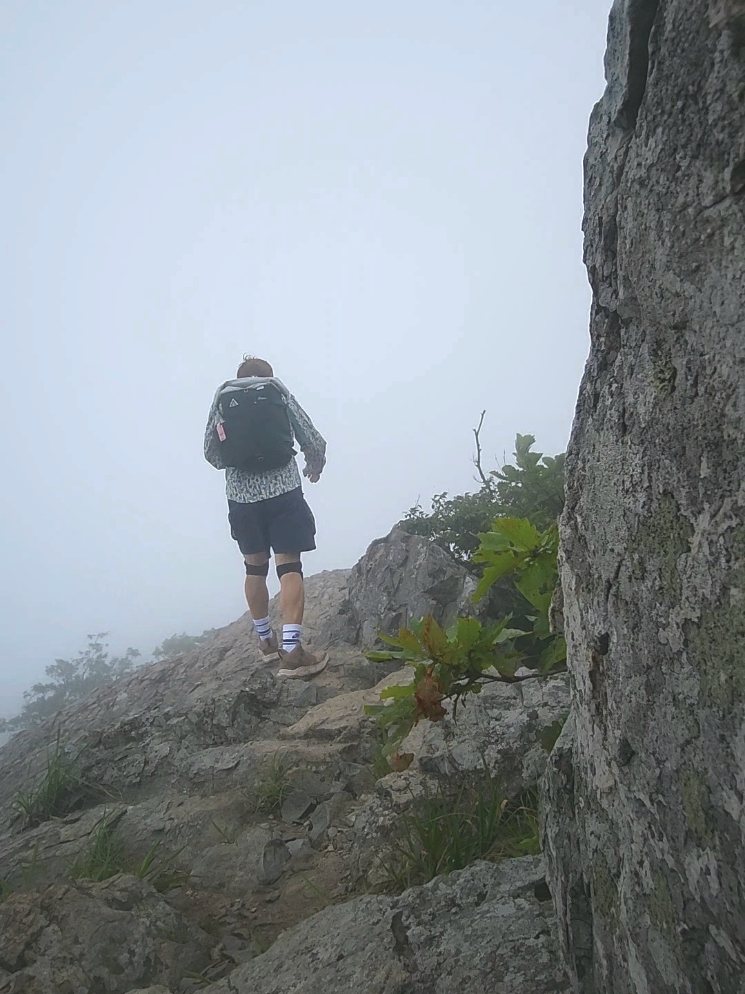 카이저소제 (@renew_me) 님의 게시물 | KREAM