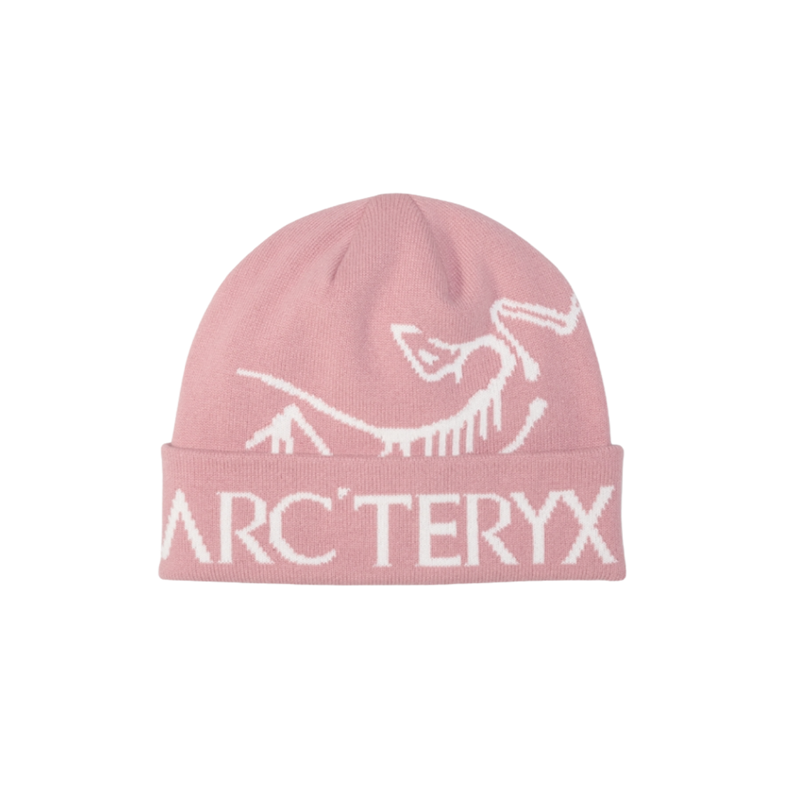 아크테릭스 버드 워드 토크 24K 블랙 | Arc'teryx | KREAM