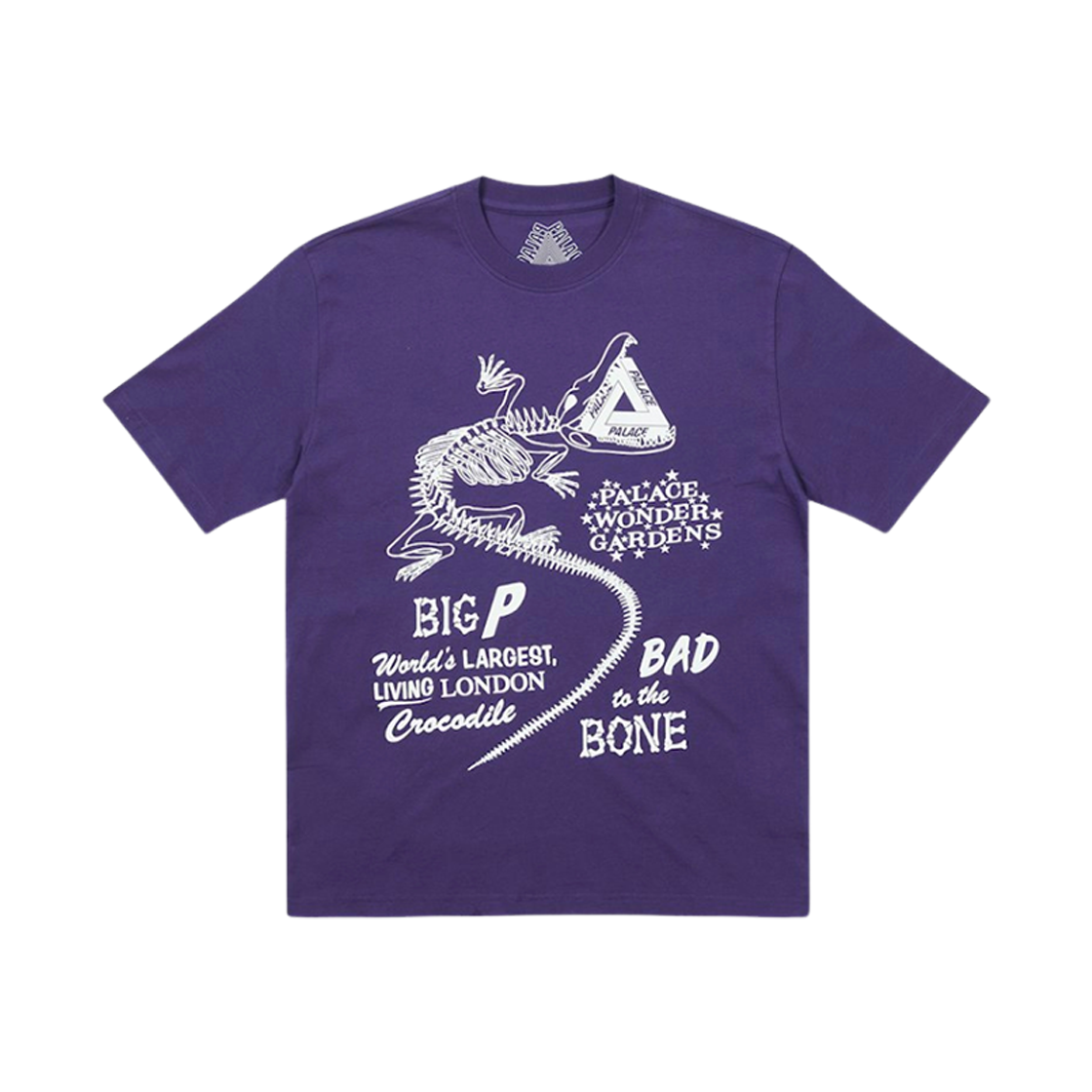 팔라스 참퍼 티셔츠 퍼플 - 22FW | Palace | KREAM