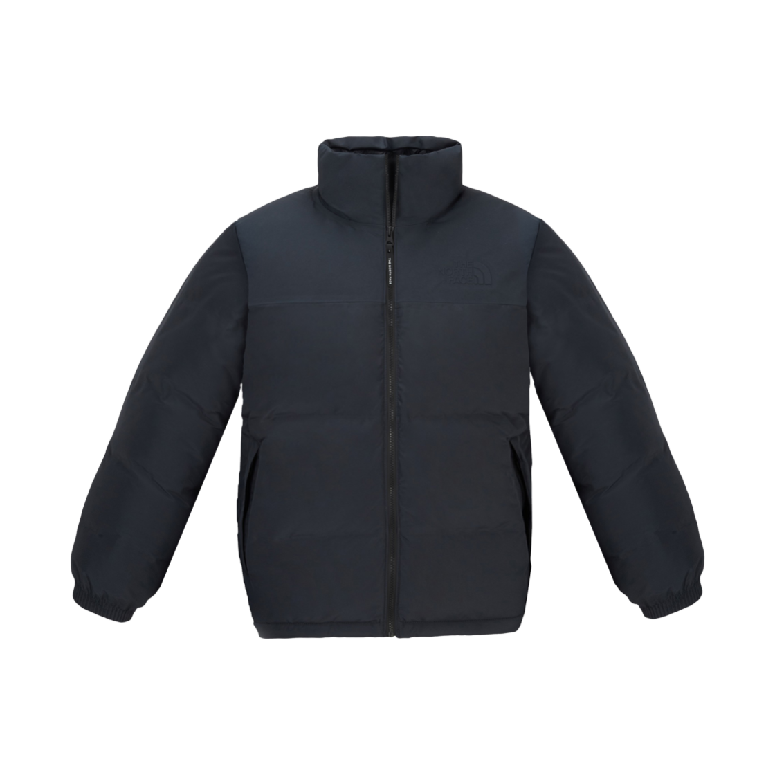 노스페이스 고어 눕시 RDS 다운 자켓 스틸 그레이 - 24FW | The North Face | KREAM