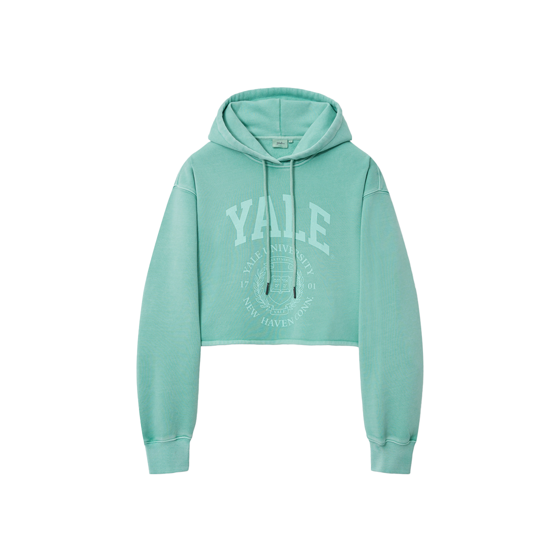 예일 우먼즈 아치로고 피그먼트 크롭 후드_그린 | YALE | KREAM