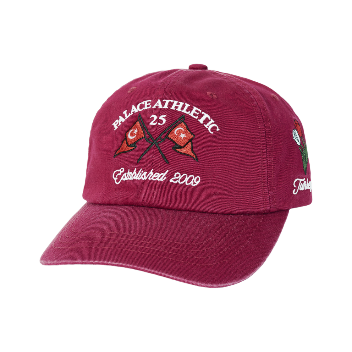 팔라스 애슬레틱 6-패널 튀르키예 - 25FW | Palace | KREAM