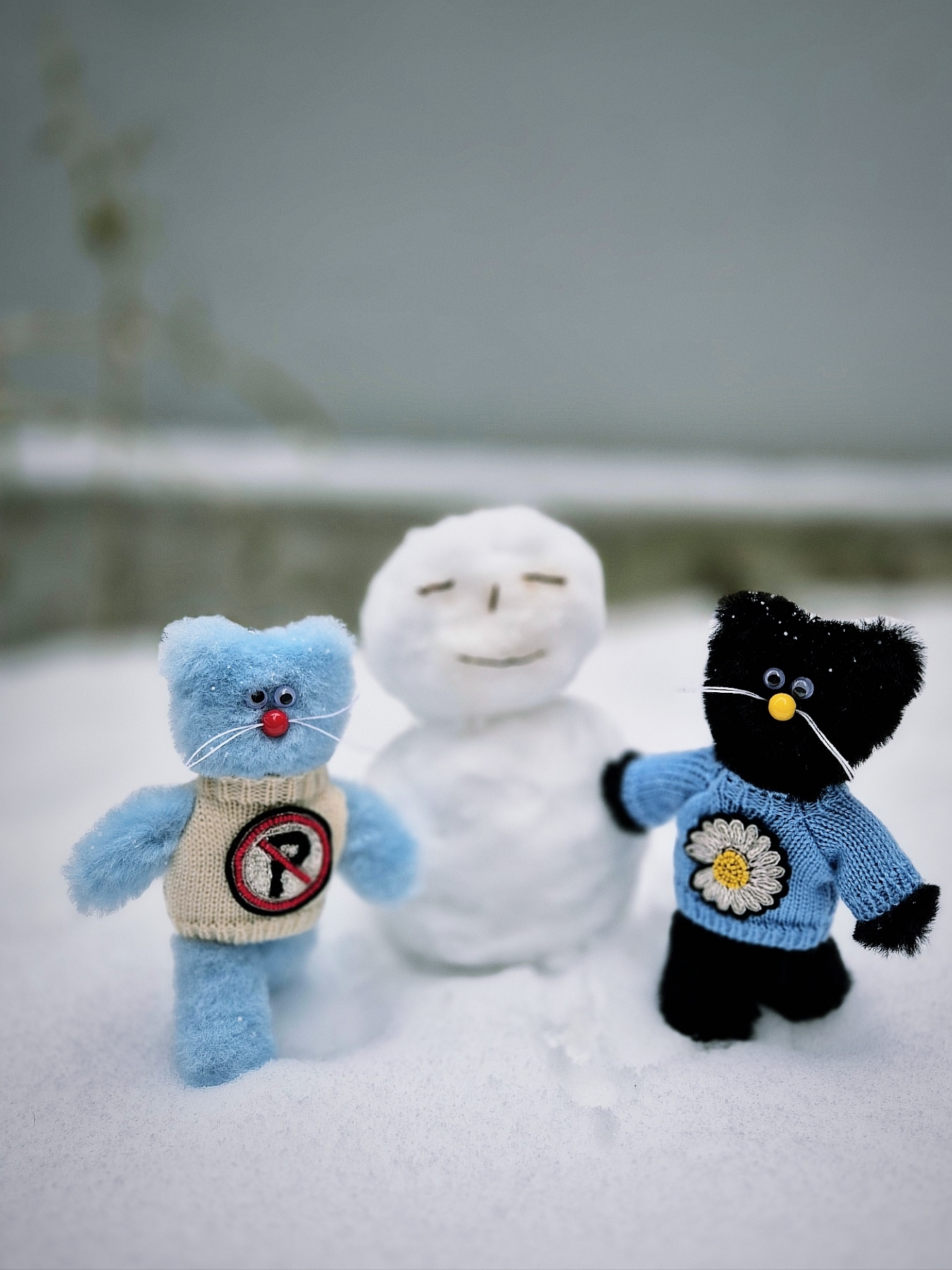 돌고래밥 (@xxx_yoon) 님의 게시물 | KREAM