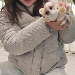 쵸 (@chiiiyo) 님의 게시물 | KREAM