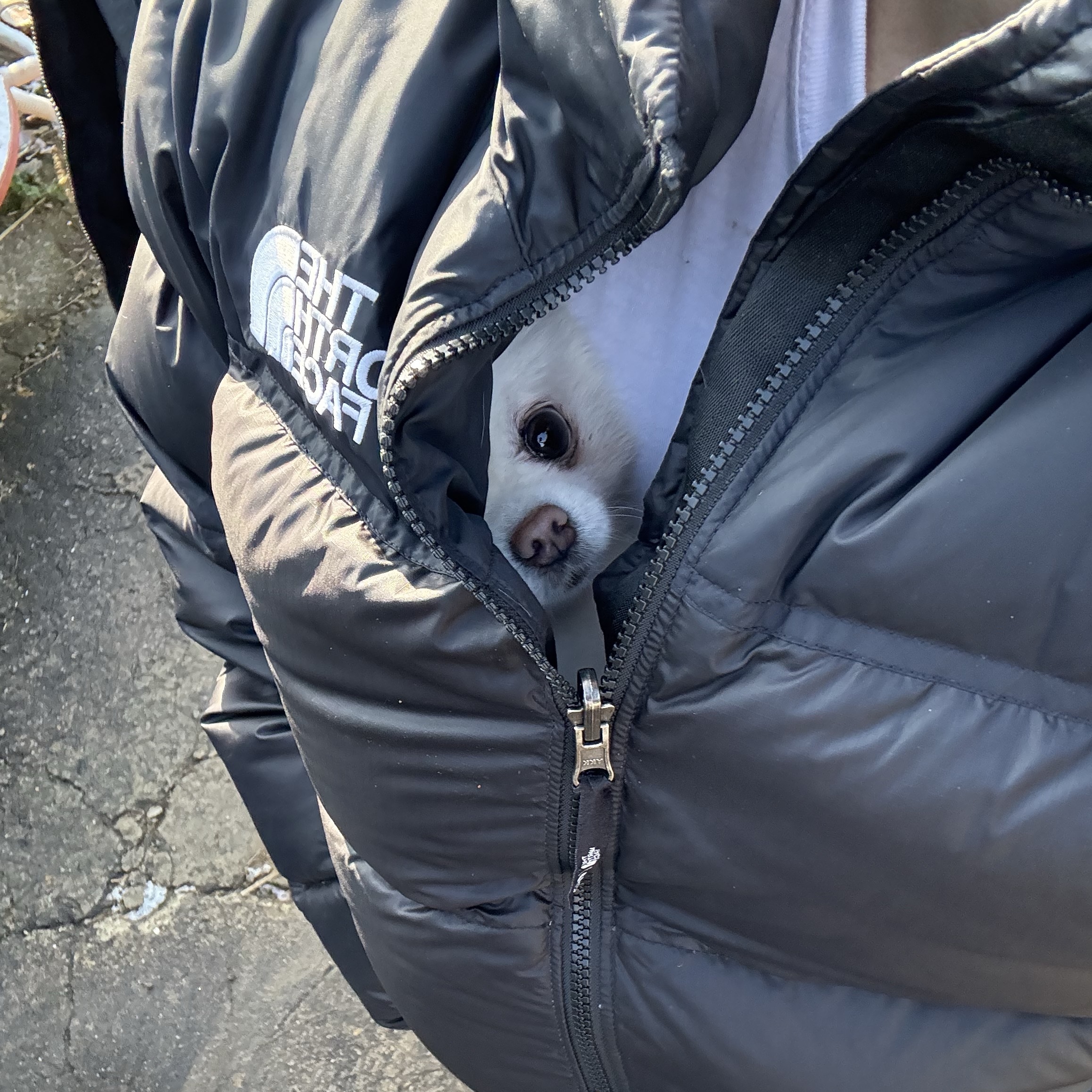 노페 200% 활용법 | KREAM