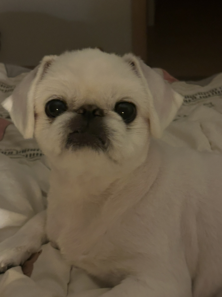 귤이 (@rb__fl) 님의 게시물 | KREAM