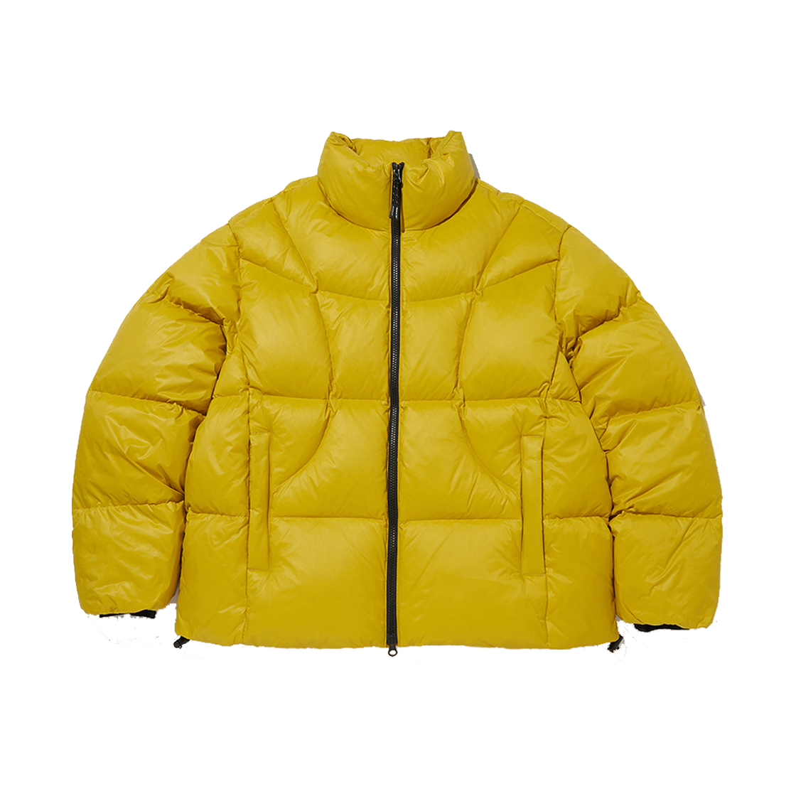 리복 펌프 패리스 다운 자켓 옐로우 | Reebok | KREAM