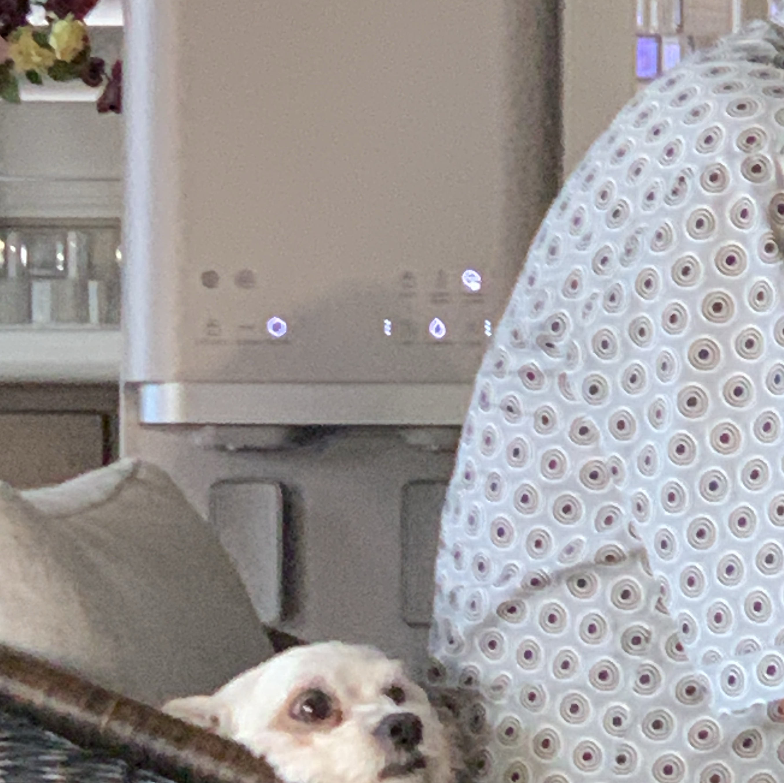 cool_jr (@barney_stinson) 님의 게시물 | KREAM