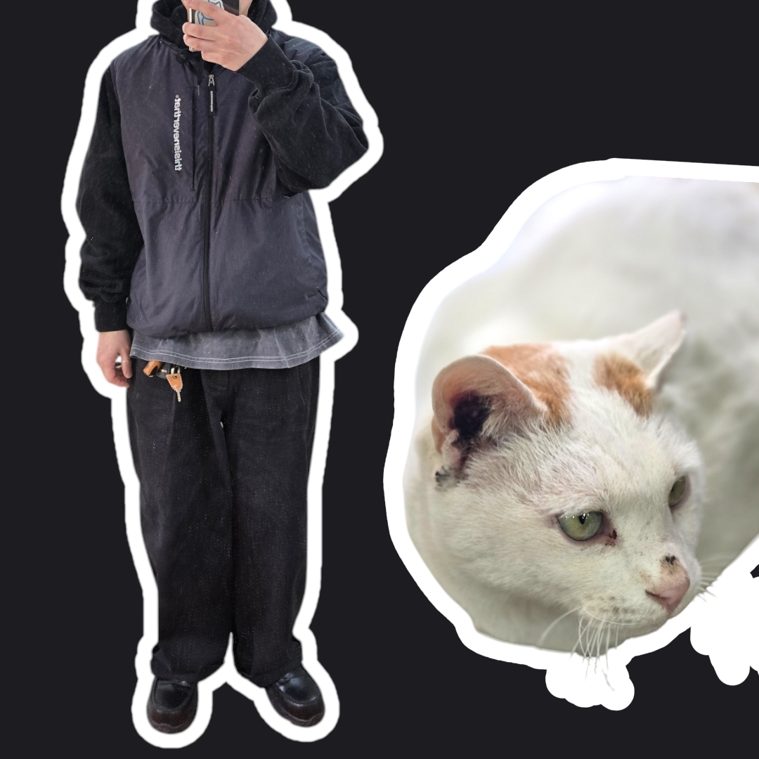 jnjnjn (@jnjnjn) 님의 게시물 | KREAM