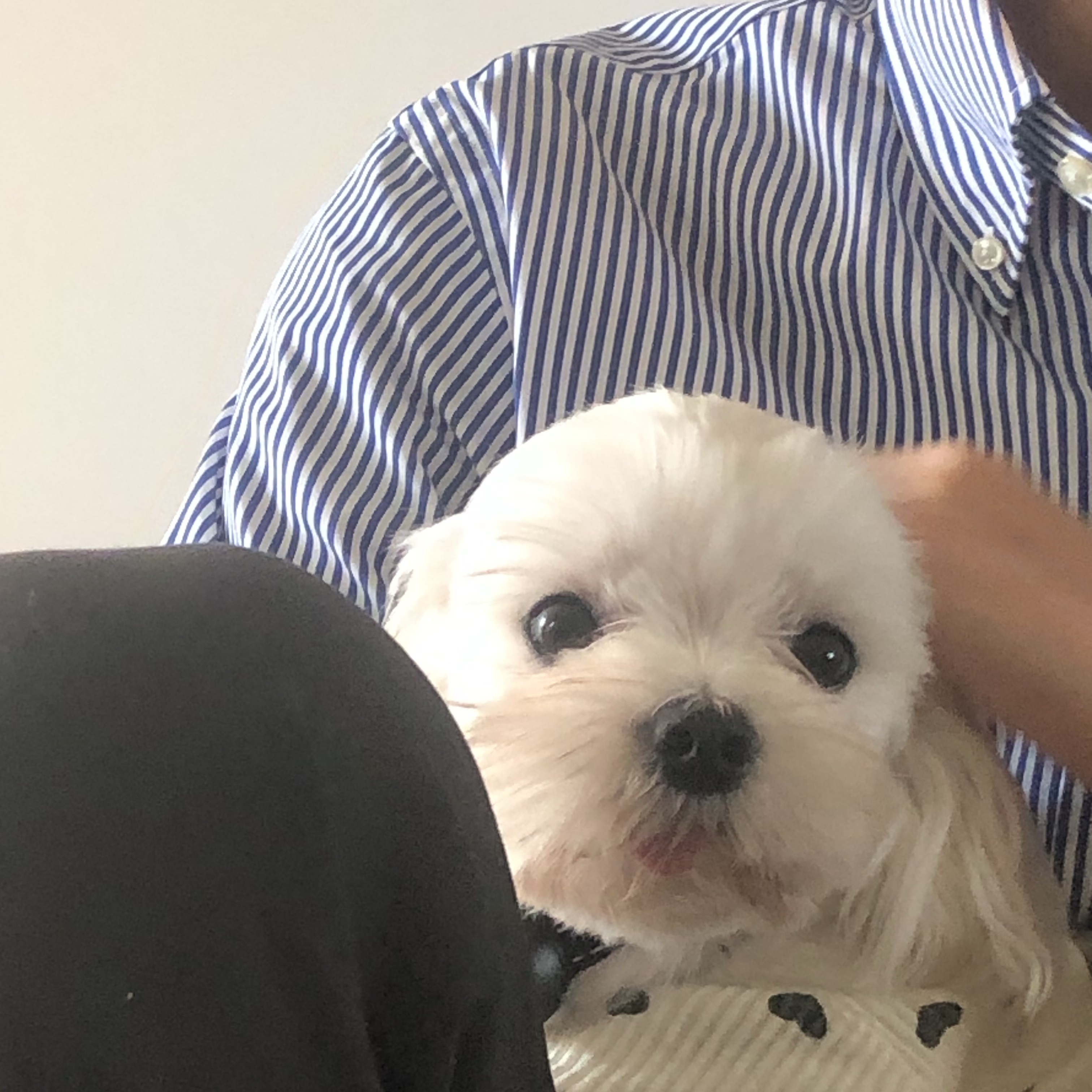 cool_jr (@barney_stinson) 님의 게시물 | KREAM